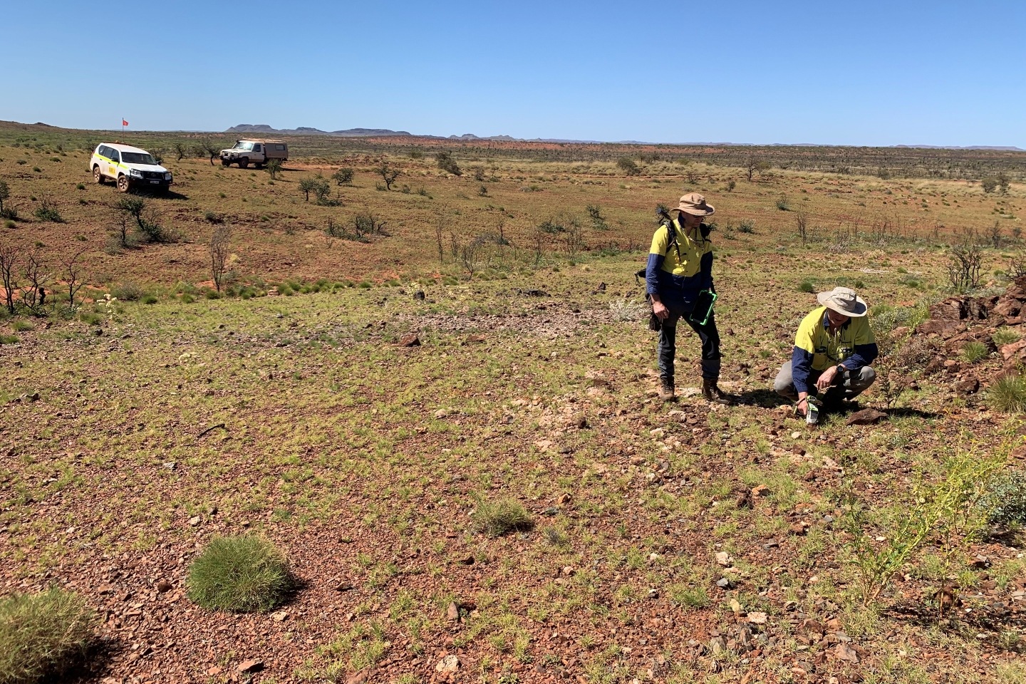 Novo set for busy six months of Pilbara gold-antimony exploration